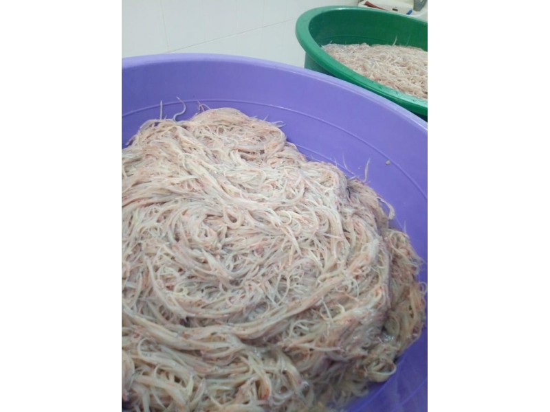 Angulas Frescas Congeladas 100 g. 4+1