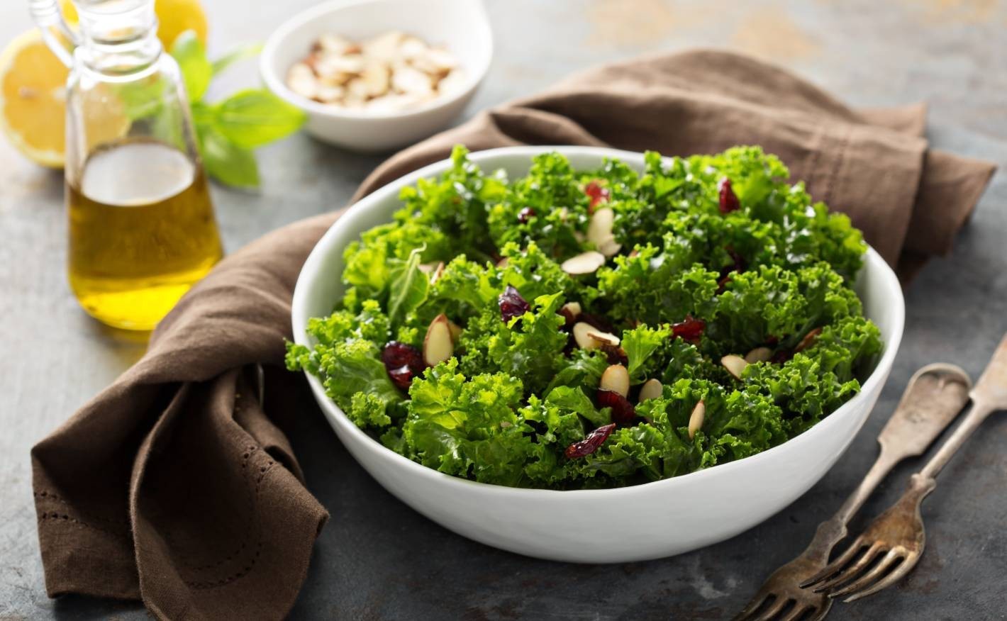 Lechuga hoja de roble, riza y lisa trocadero ¿cuál es la mejor opción ...