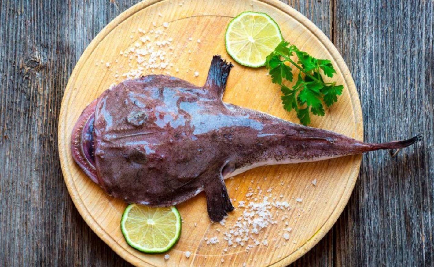 Guía básica del rape, el pescado más saludable - Faro da Palloza ...