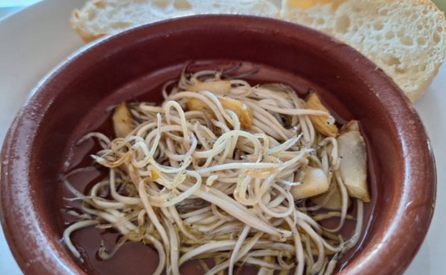 ¿Qué son las angulas y cómo se cocinan? - Faro da Palloza | Tienda ...